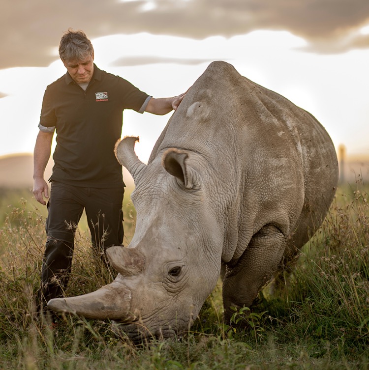 Colossal Foundation - Working to Make Extinction a Thing of the Past