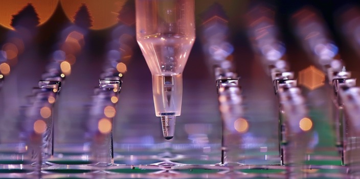 Engineering a Future for the Northern White Rhino