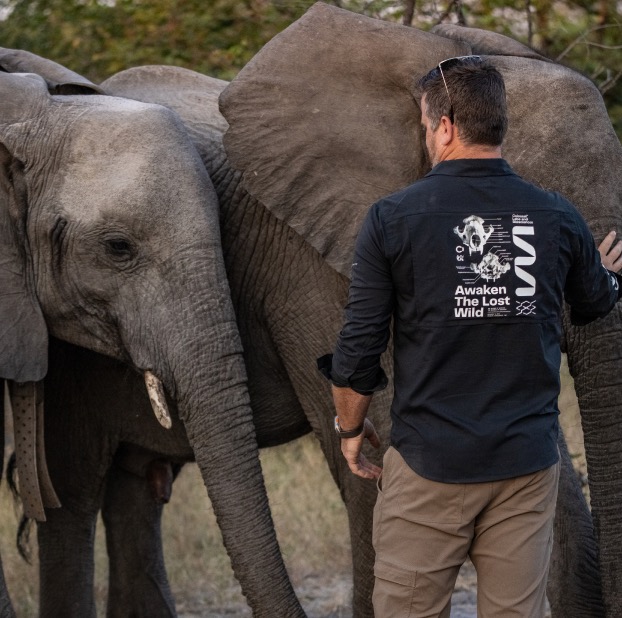 Colossal Foundation - Working to Make Extinction a Thing of the Past