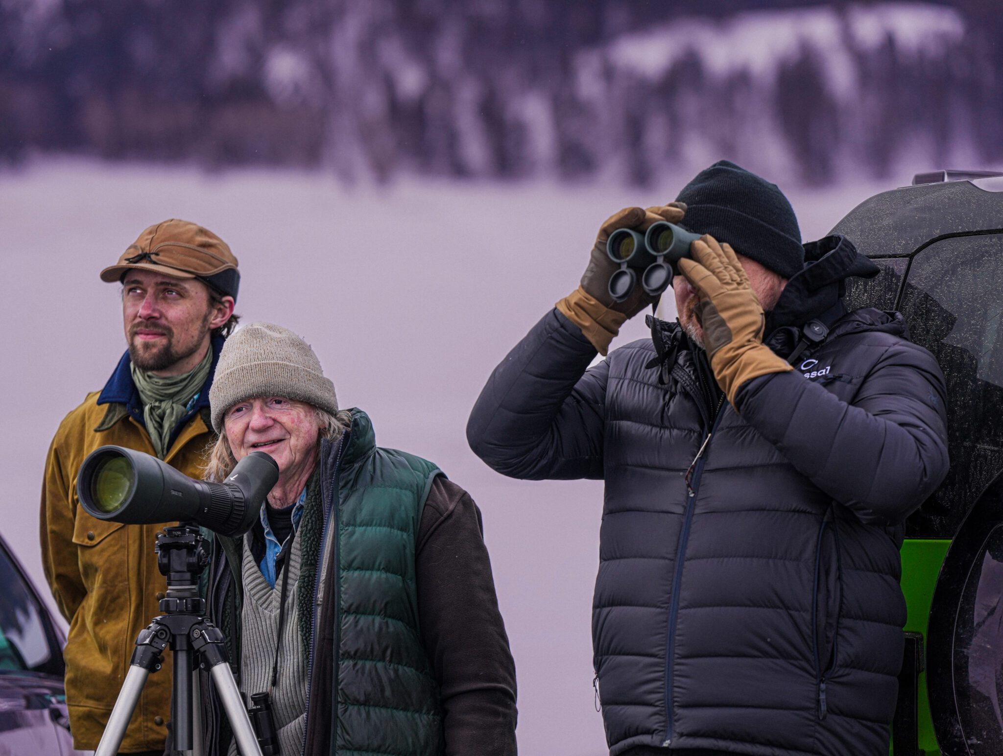 Decoding the Howl: Using AI to Understand the Language of Yellowstone’s ...